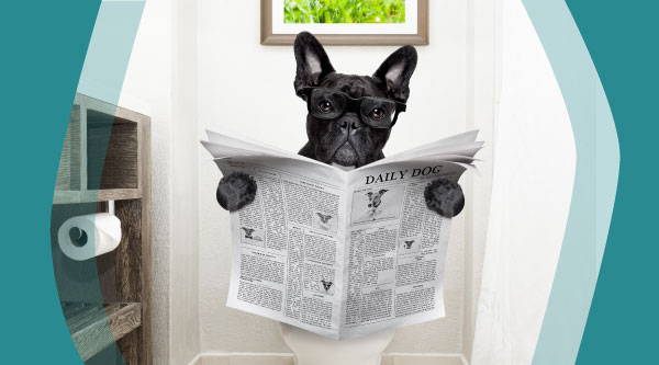 Faecal Incontinence Management Tips for Individuals and Carers ...